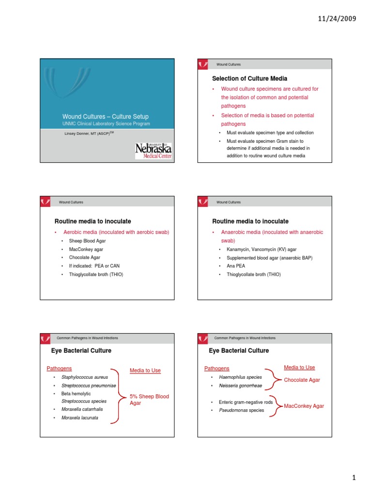 Wound Culture Media Guide | PDF | Streptococcus | Bacteria