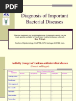 Bacterial Identification Flow Chart | PDF