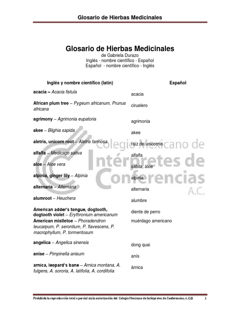 11 Glosario de Hierbas Medicinales Gabriela Durazo | PDF | Plantas de ...