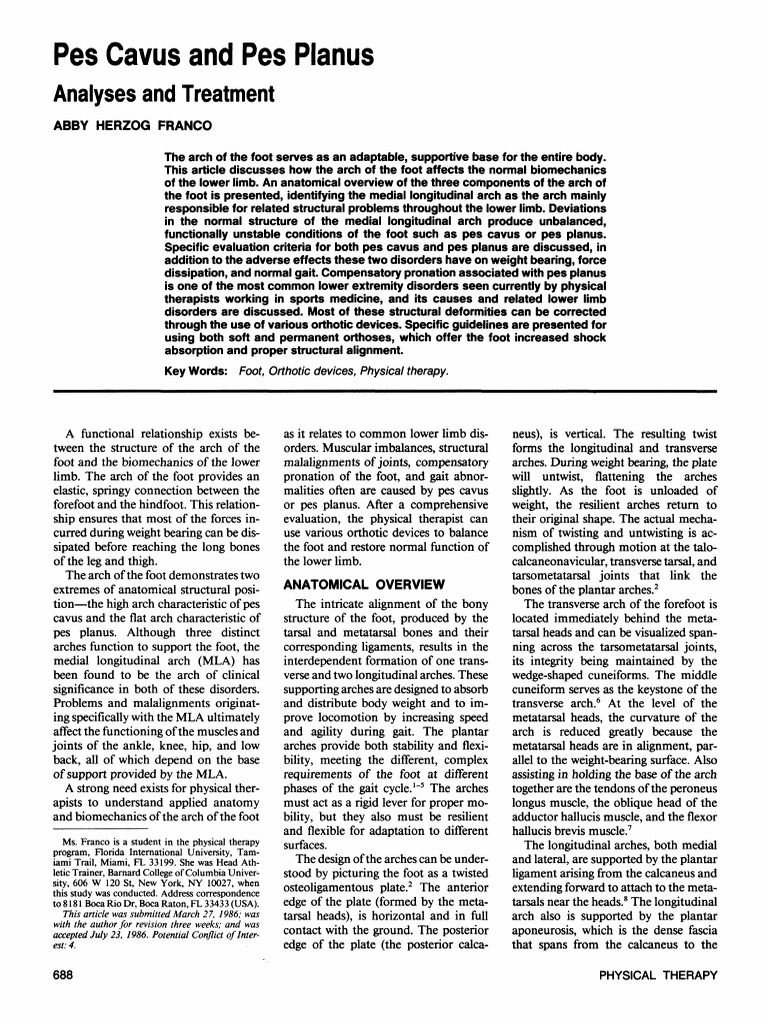 Pes Cavus and Pes Planus | Foot | Lower Limb Anatomy