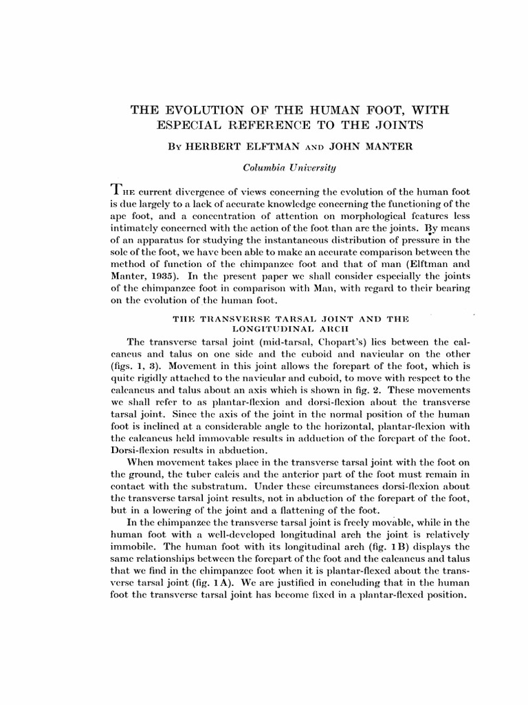 The EVOLUTION of The HUMAN FOOT | PDF | Foot | Ankle