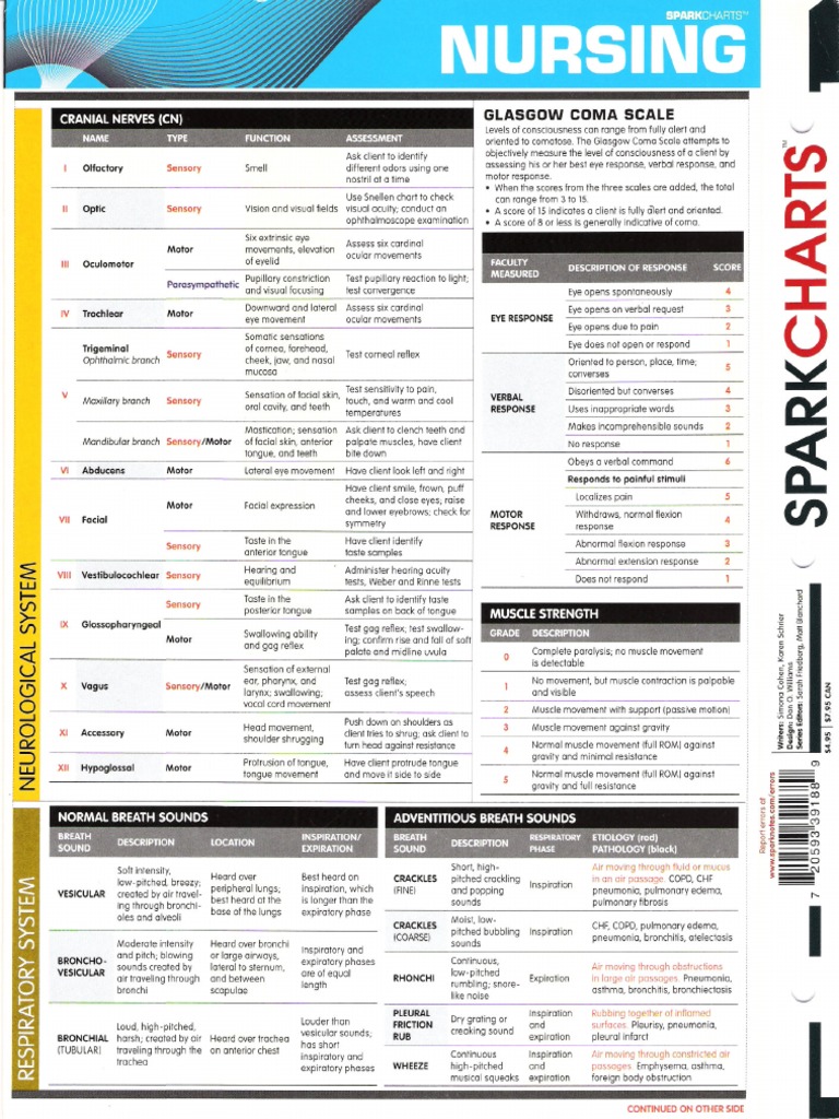 Spark Charts - Nursing | PDF | Foreign Language Studies