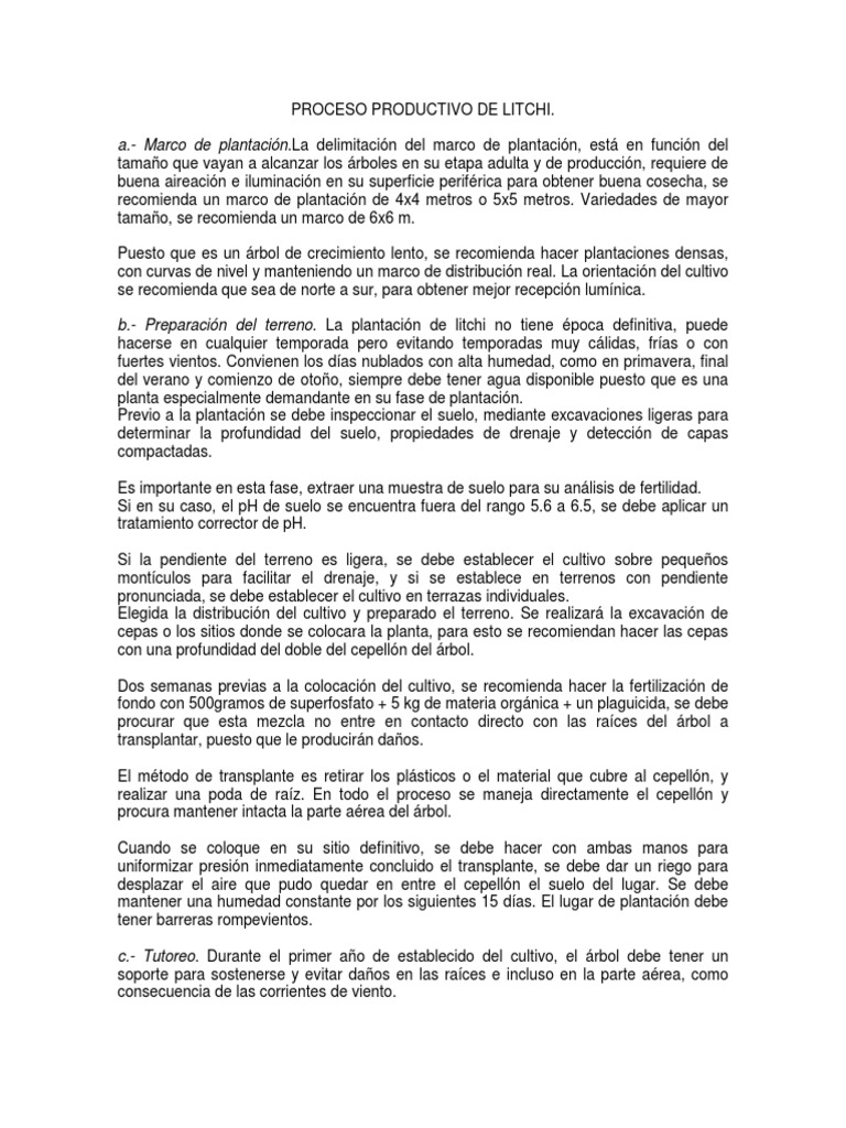 Proceso Productivo de Litchi | PDF | Arboles | Suelo
