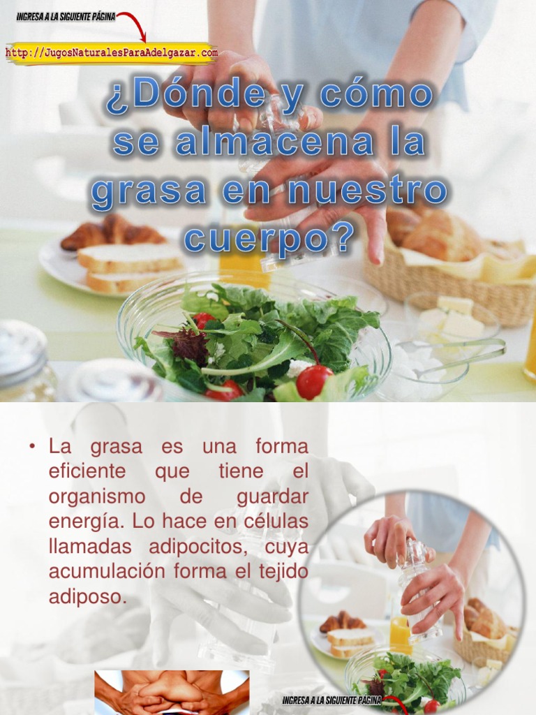 Dónde y Cómo Se Almacena La Grasa en Nuestro Cuerpo | PDF | Tejido ...
