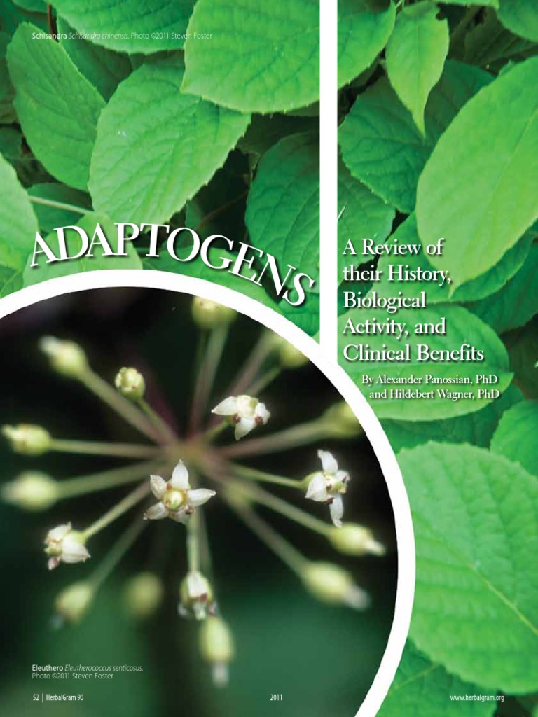 Adaptogens: A Review of Their History, Biological Activity, and ...