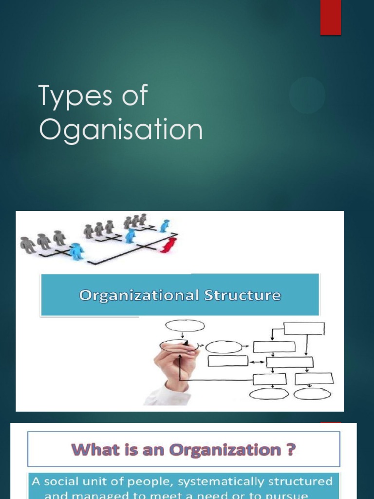 Types of Organisation | PDF