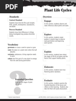 Maple Tree Life Cycle Explained | PDF | Maple | Flowers