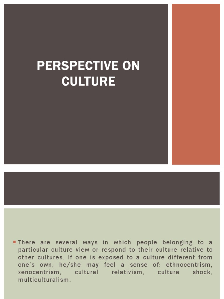 Perspective On Culture | PDF | Social Stratification | Multiculturalism