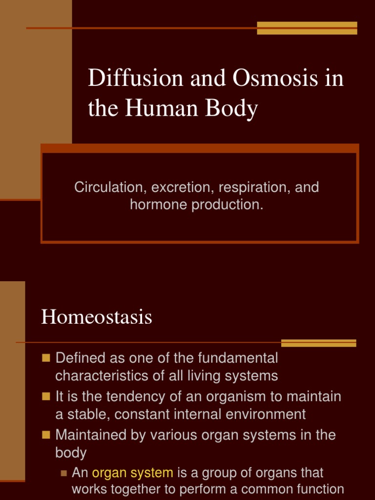 Diffusion and Osmosis in The Human Body | PDF