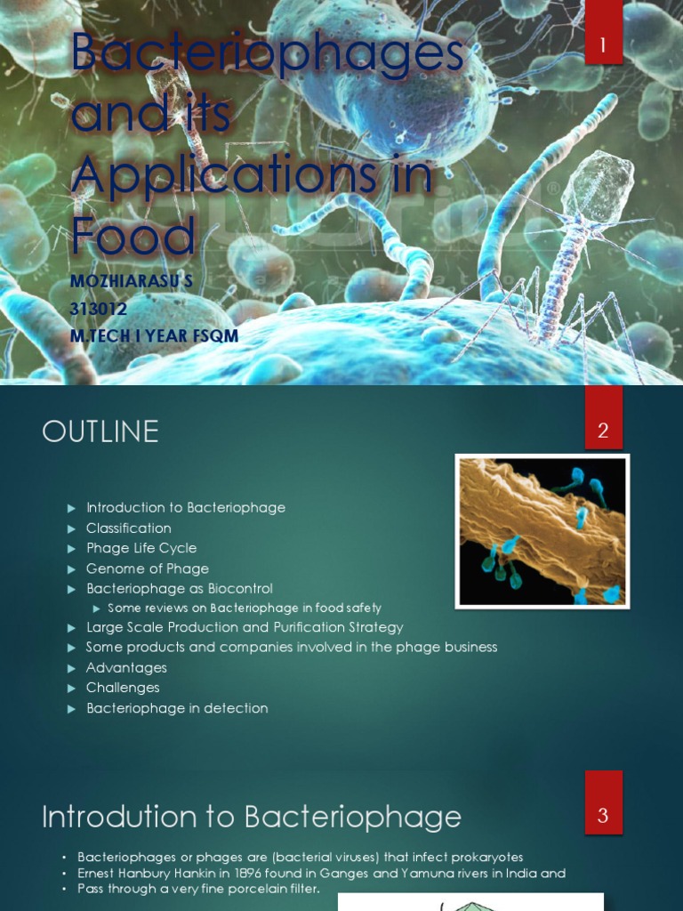 Applications of Bacteriophages in Food | PDF | Bacteriophage | Tree Of Life (Biology)