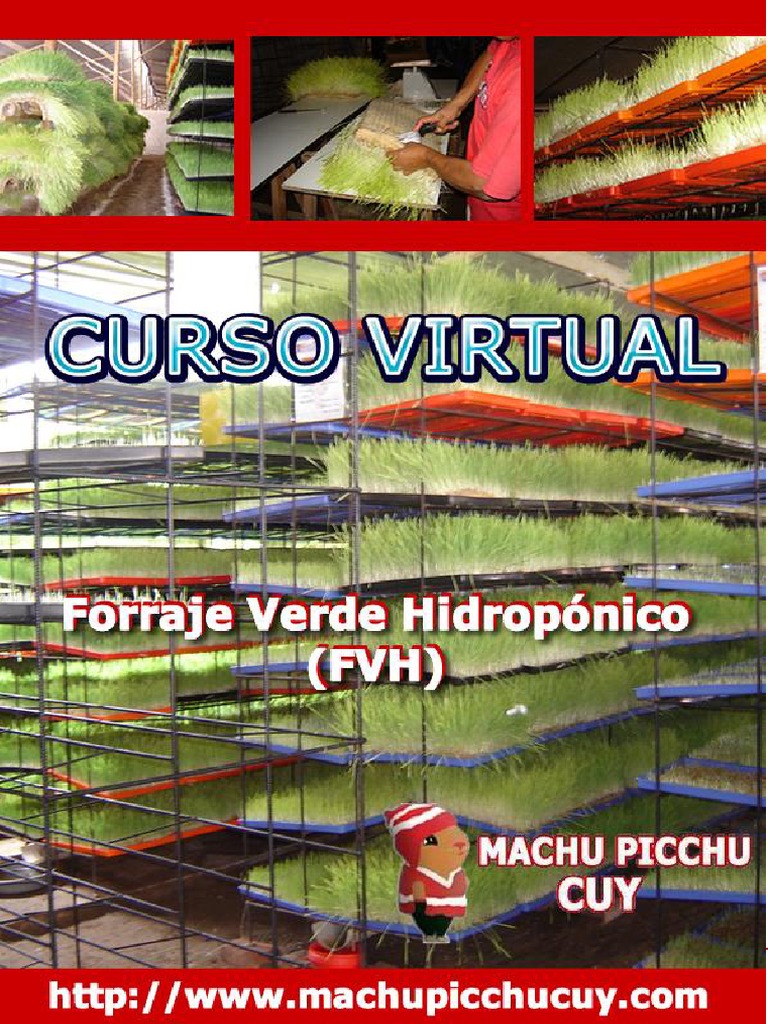 Ventajas Desventajas FVH | PDF | Agua | Agricultura