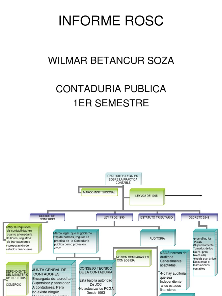 Informe ROSC | PDF | Contador | Contabilidad