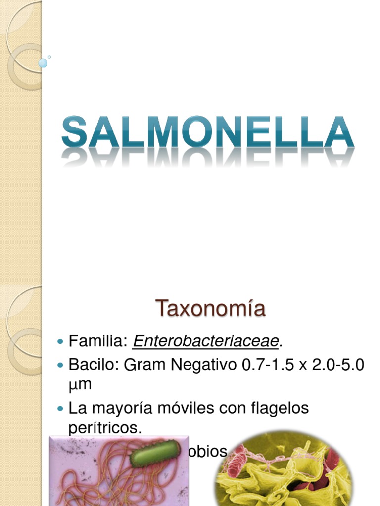 Salmonella 3 | PDF | Salmonela | Patologia clinica