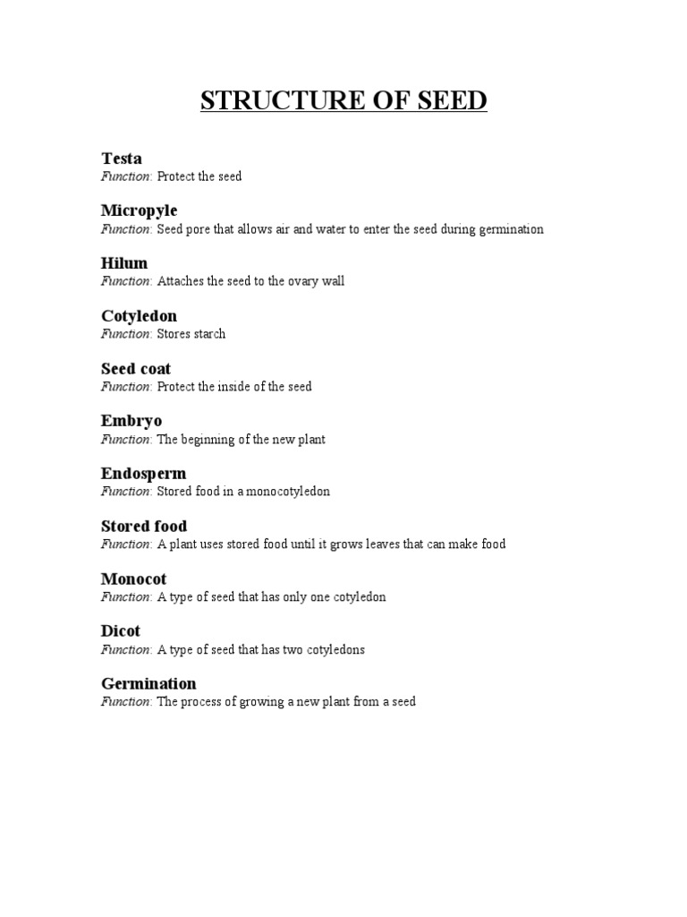 The Structure and Functions of Plant Seeds and their Parts | PDF | Seed ...