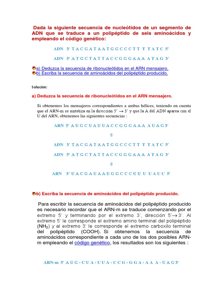 Dada La Siguiente Secuencia de Nucleótidos de Un Segmento de ADN Que Se ...