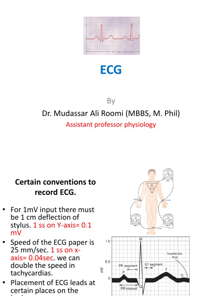 Lecture On Basics of ECG For 1st Year MBBS by Dr. Roomi | PDF | Electrocardiography | Atrium (Heart)