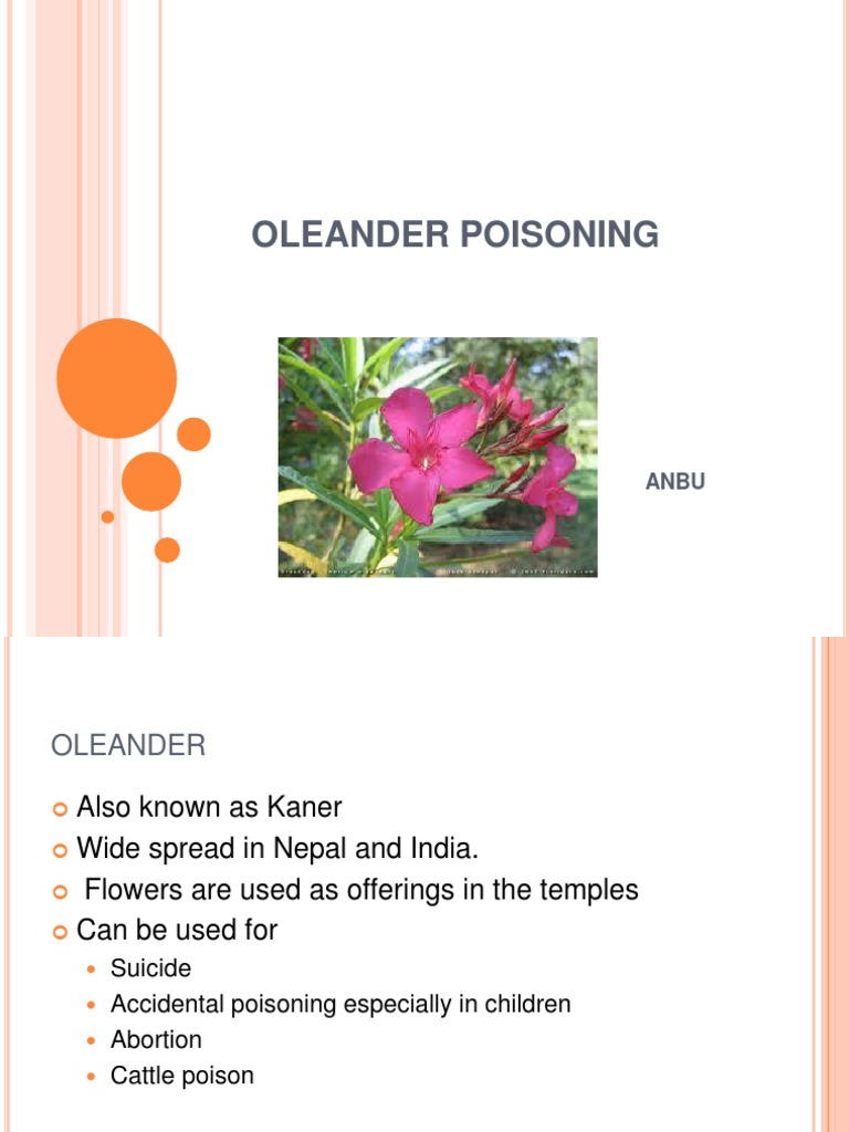 Oleander Poisoning | Medical Specialties | Diseases And Disorders