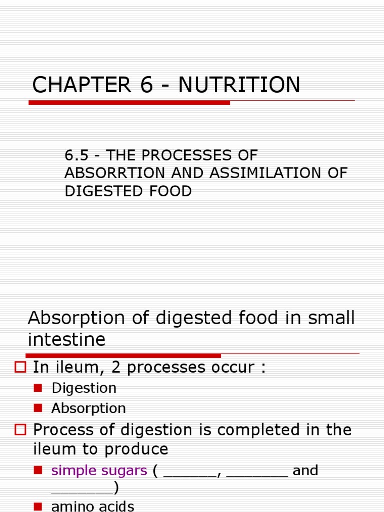Absorption n Assimilation | Small Intestine | Digestion