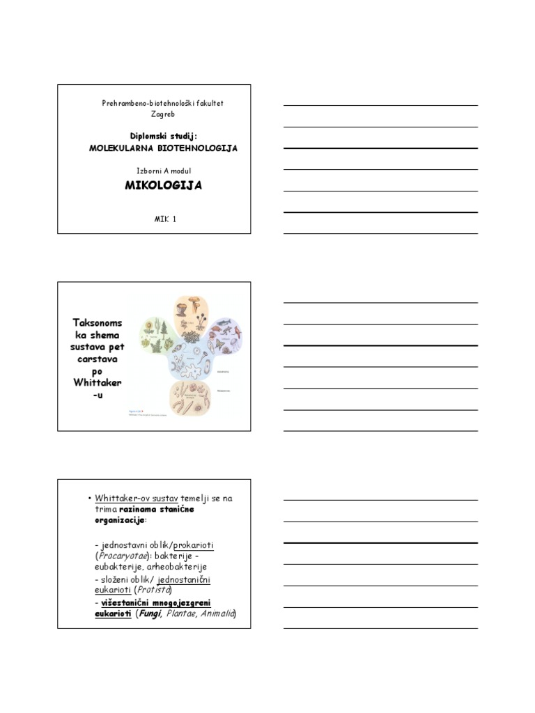 MIKOLOGIJA | PDF