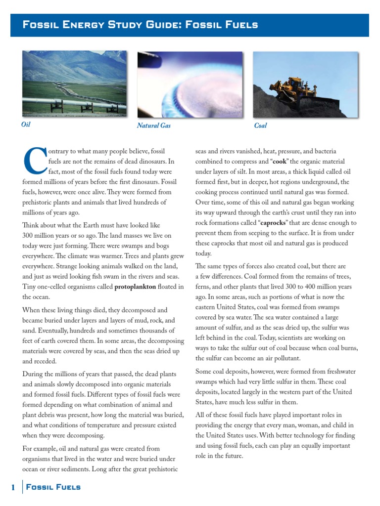 Understanding Fossil Fuels Formation | PDF | Fossil Fuels | Fuels