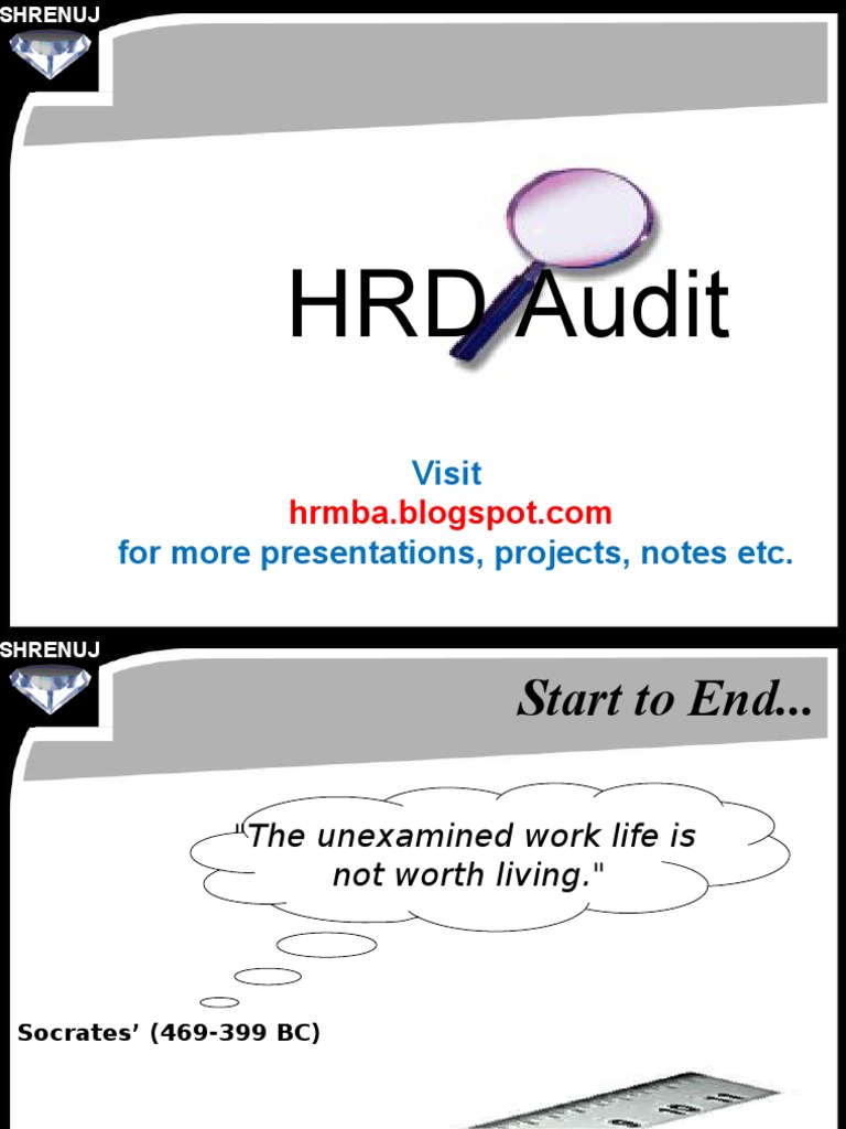 HR Audit | PDF | Competence (Human Resources) | Human Resources