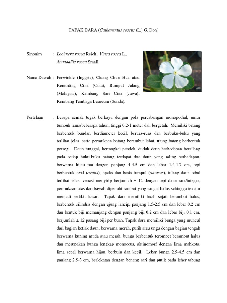 Tapak Dara | PDF | Griya & Taman | Kesehatan Holistik