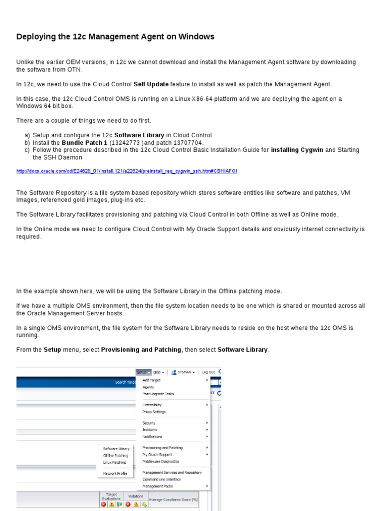 Deploying The 12c Management Agent On Windows A Step By Step Guide To Installing The Agent 