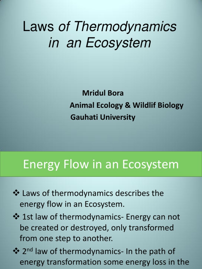 Laws of Thermodynamics in An Ecosystem | PDF