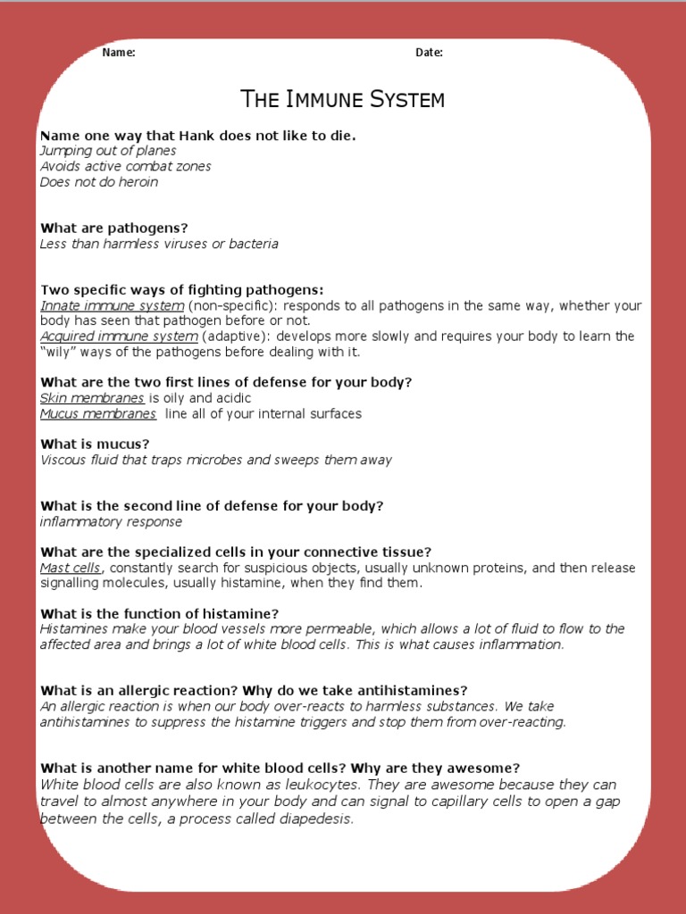 Immune System - Answer Key | PDF | Phagocyte | Immune System