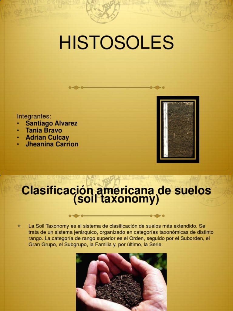 HISTOSOL | PDF | Turba | Edificio sustentable