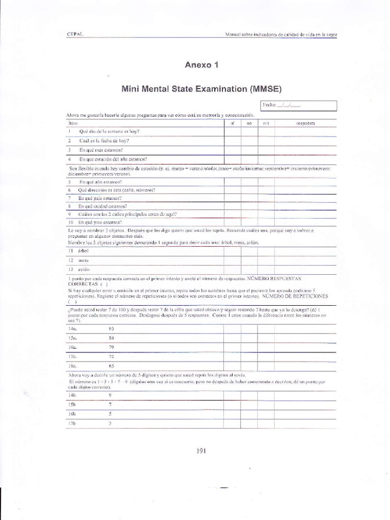 Mini Mental | PDF