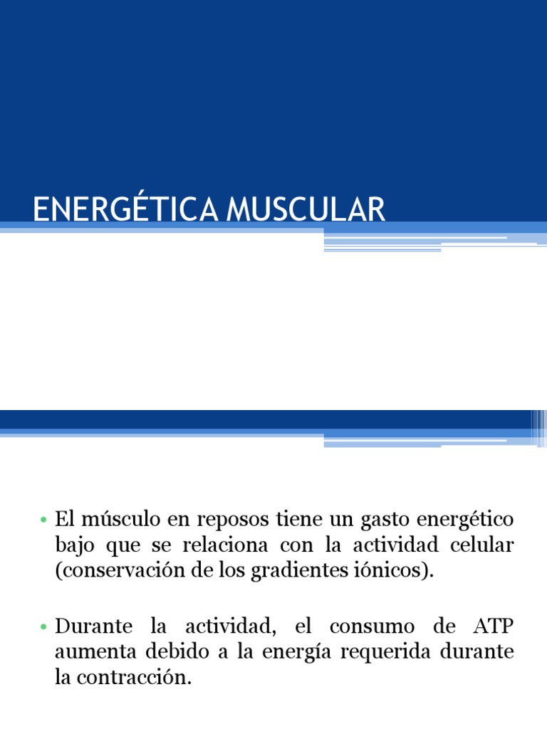Fuentes de Energía en la Contracción Muscular | PDF | Contracción ...