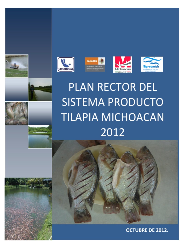 Plan Rector Tilapia 2012 | PDF | Proteínas | Planificación