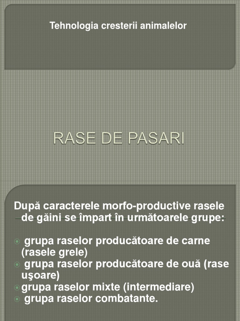 Rase de Pasari | PDF