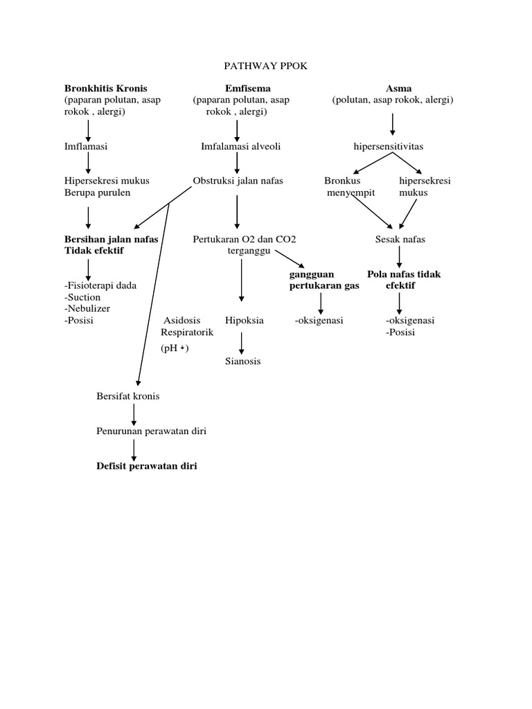Pathway Ppok | PDF | Seni