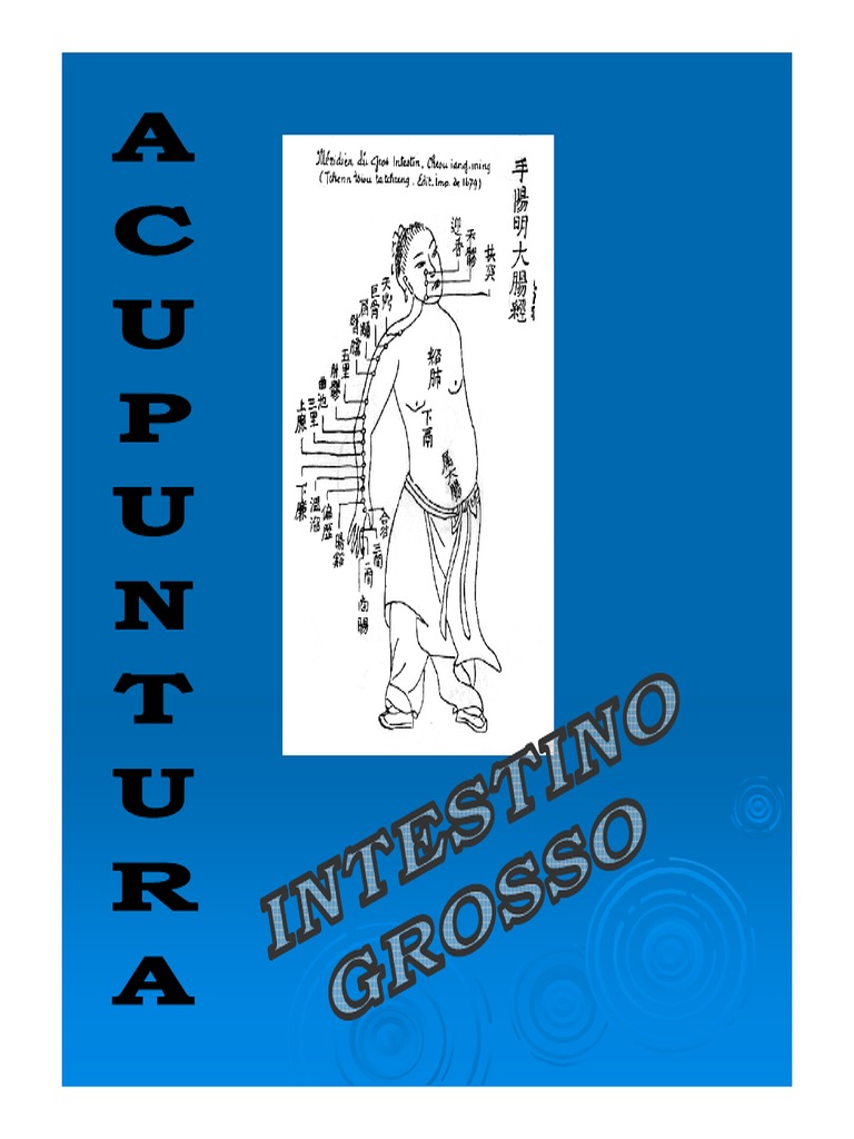 Meridiano do Intestino Grosso: Trajeto e Funções | PDF