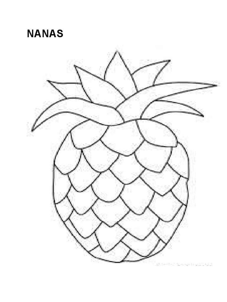 Kolaj Buah Buahan Lembaran Kerja Kolaj Bunga Wajib Tahu Ini Manfaat - Riset