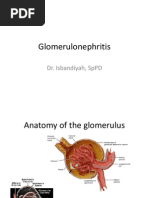 Nephrology Mnemonics Guide | PDF | Kidney Disease | Kidney