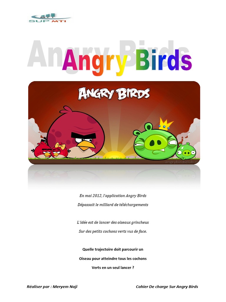 Cahier des charges Angry Birds | PDF | Loisirs | Informatique et ...