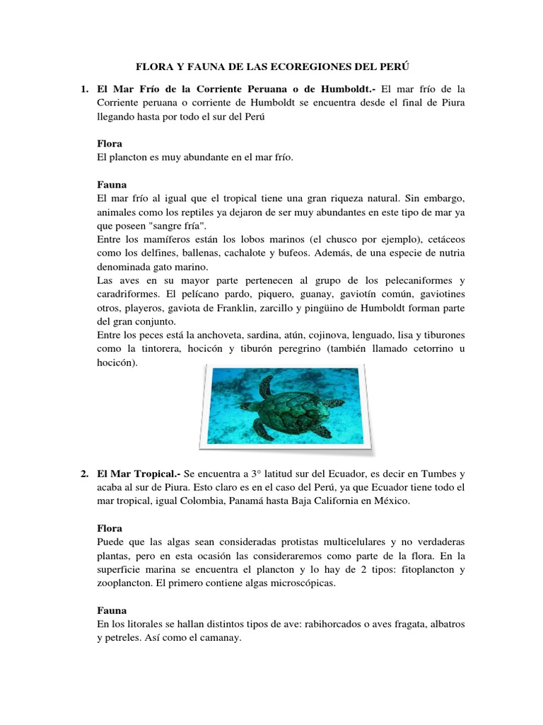 Flora y Fauna de Las Ecoregiones Del Perú | Plankton | Andes Flora y Fauna de Las Ecoregiones Del Perú | Plankton | Andes
