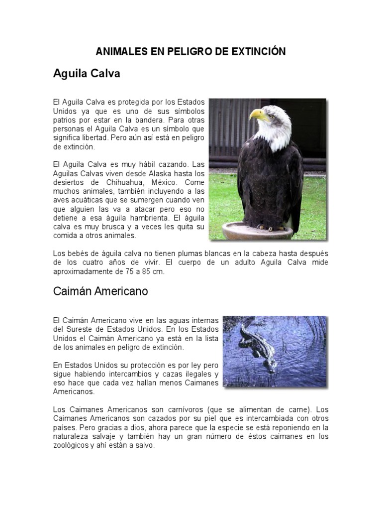 Animales en Peligro de Extinción | PDF | Cetacea | Lobo gris