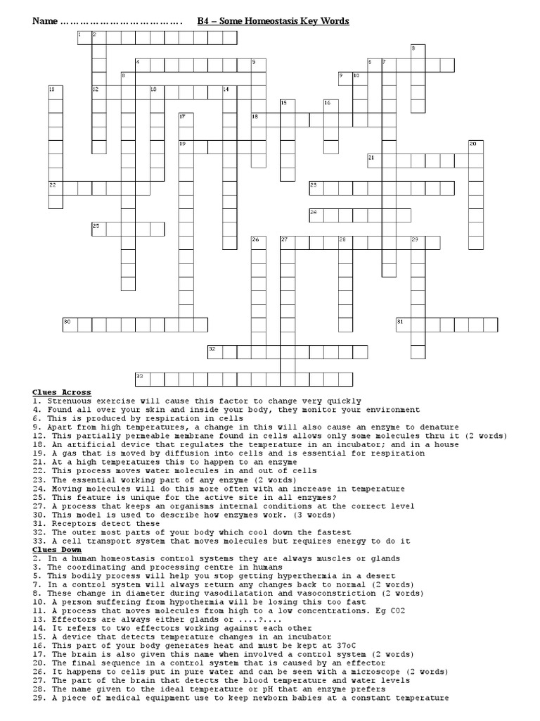Homeostasis Crossword | Homeostasis | Hypothalamus
