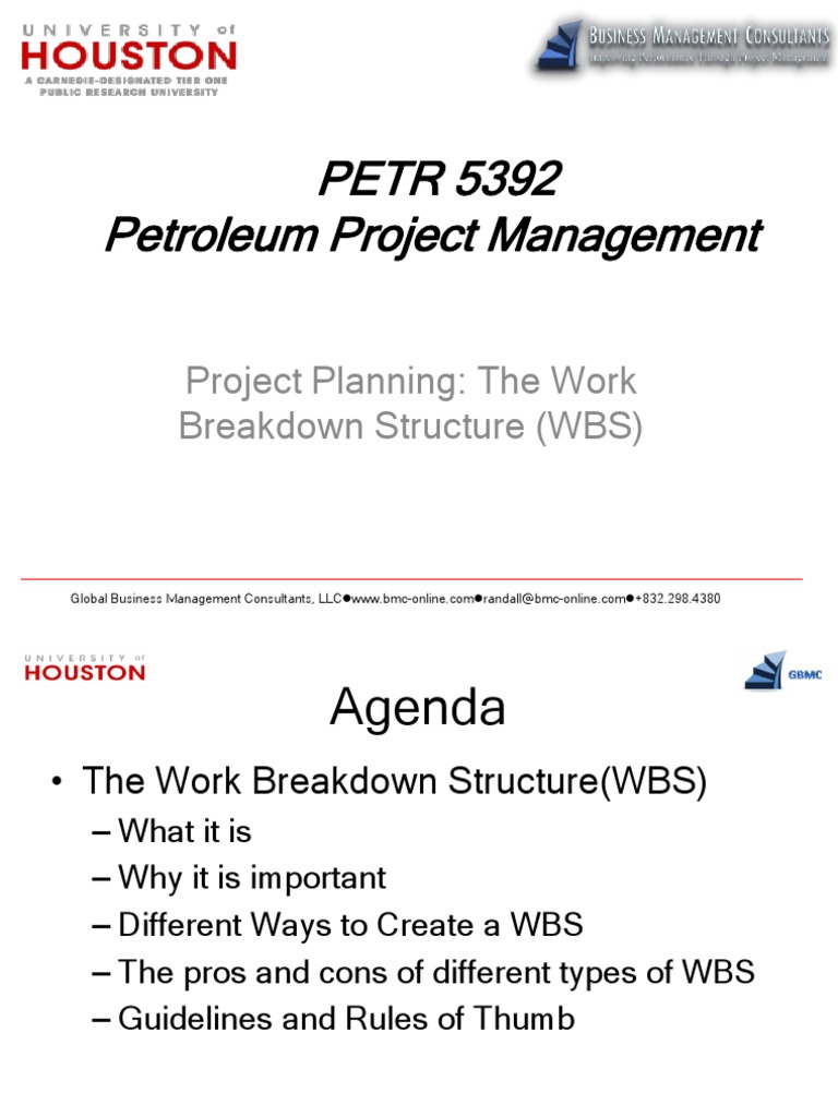 The Work Breakdown Structure | PDF | Project Management | Production ...