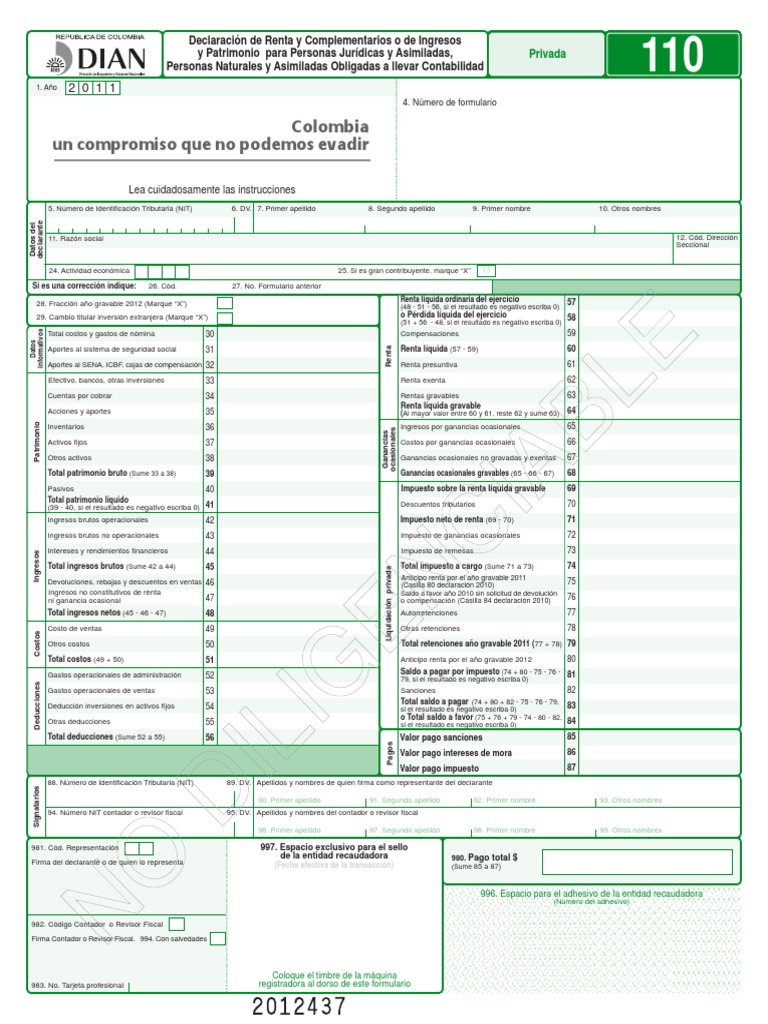 Formulario 110 Dian | PDF | Beneficio (economía) | Impuestos
