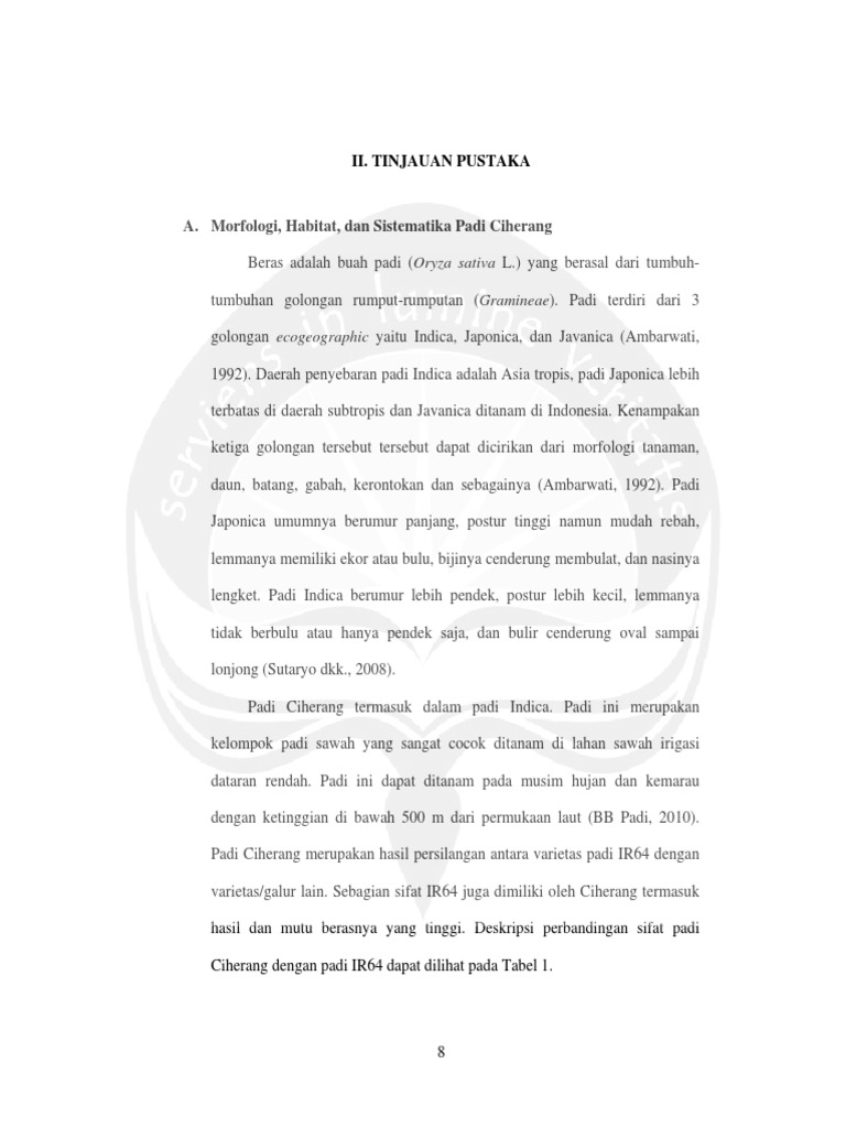 Morfologi PADI | PDF