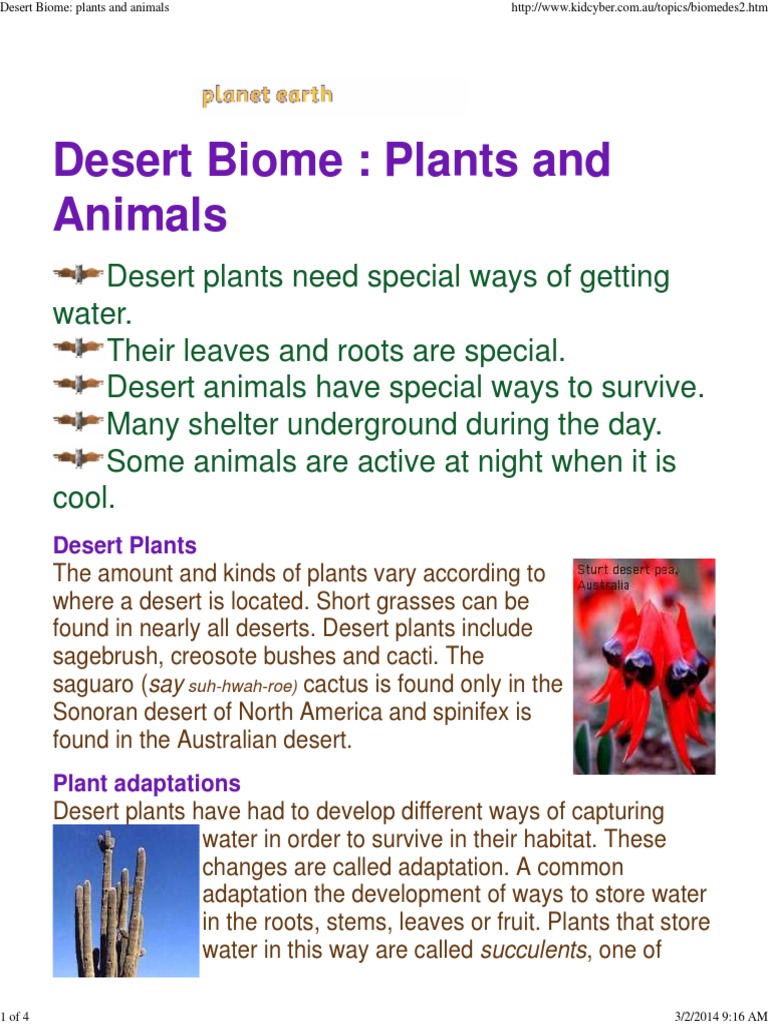 Desert Biome - Plants and Animals | PDF | Desert | Ecology
