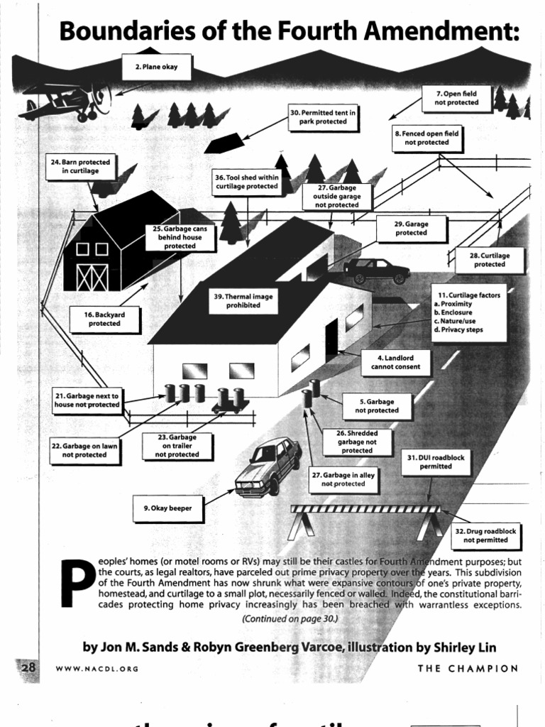 Fourth Amendment Made Graphic | PDF | Expectation Of Privacy | Fourth ...
