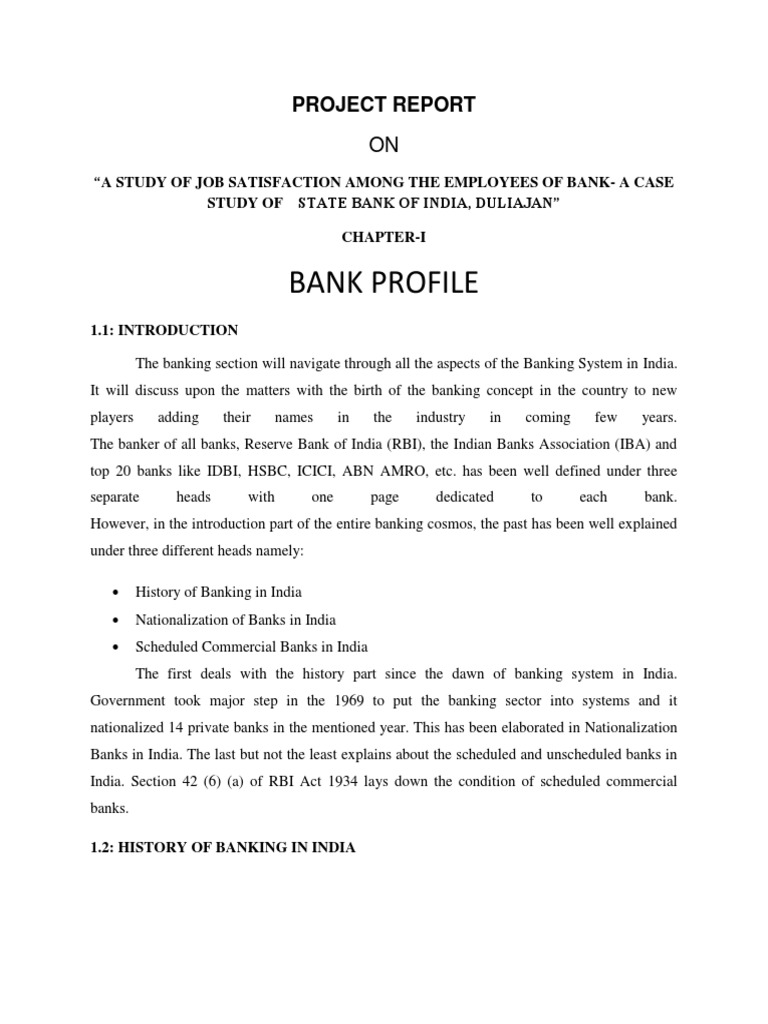 Bank Profile: Project Report | PDF | Loans | Banks