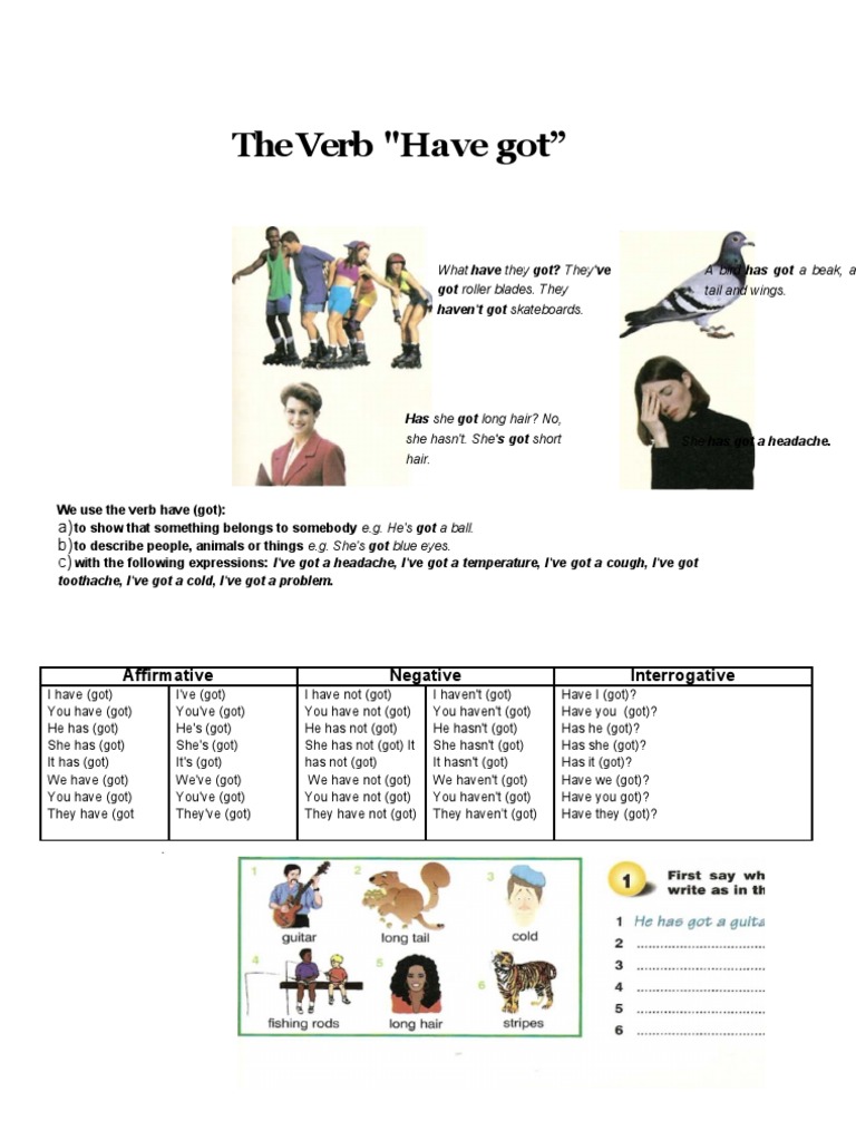 The Verb "Have Got" | PDF