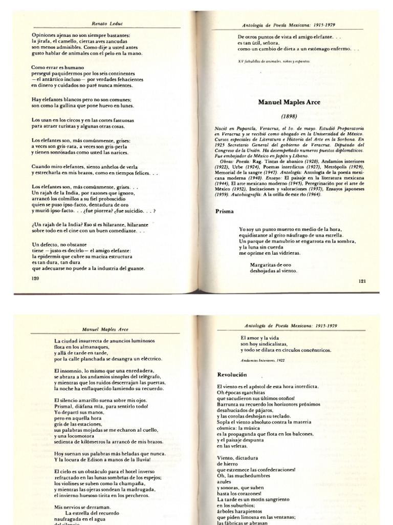 Maples Arce Manuel Prisma | PDF